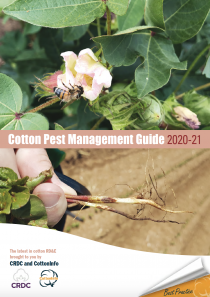2020-21 Cotton Pest Management Guide | CottonInfo